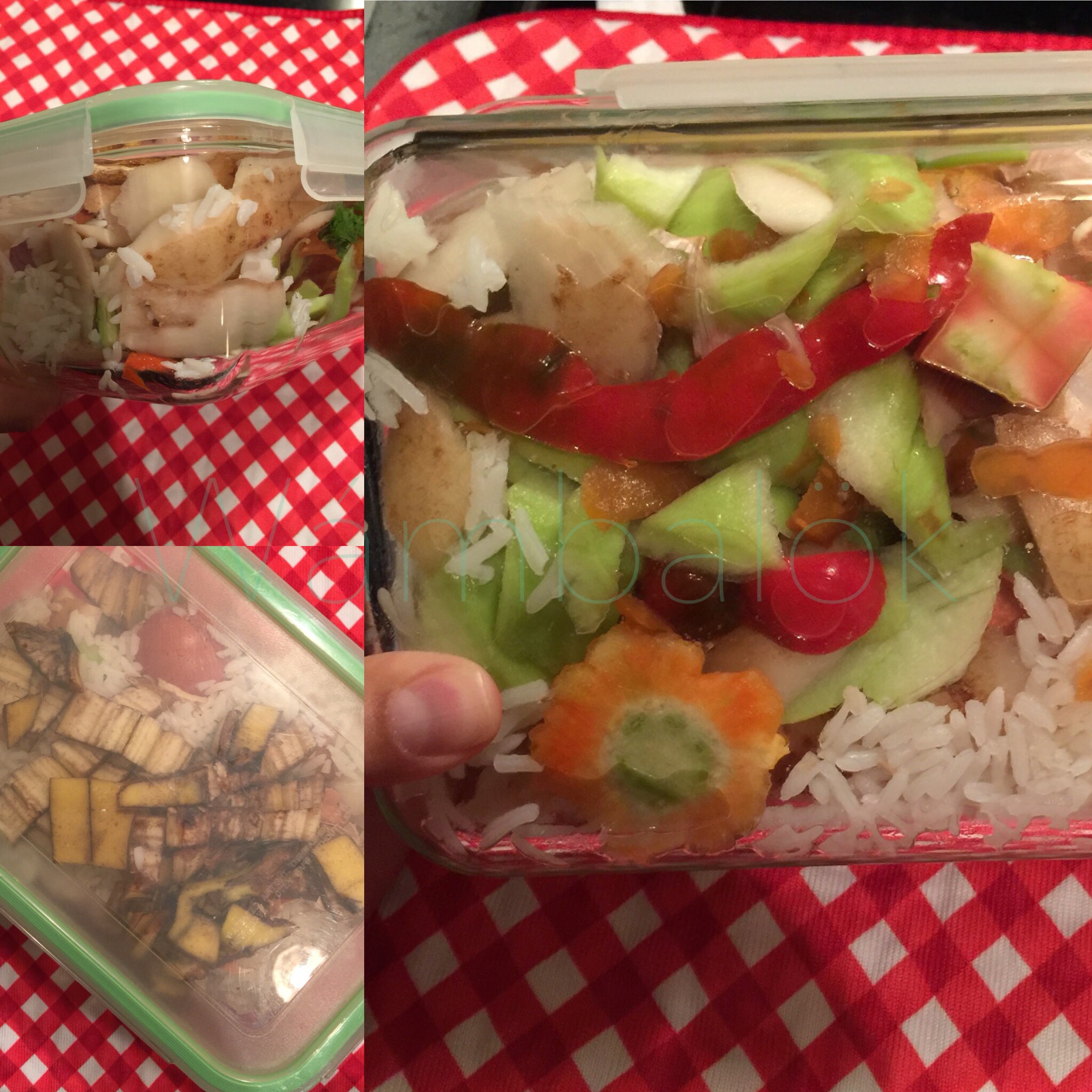 Ramona Takakura, la compostera – Wámbalök